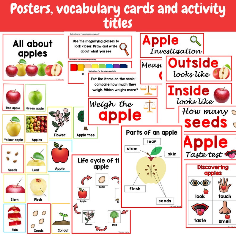 All About Apples - Investigation Science Center for Preschool - Etsy