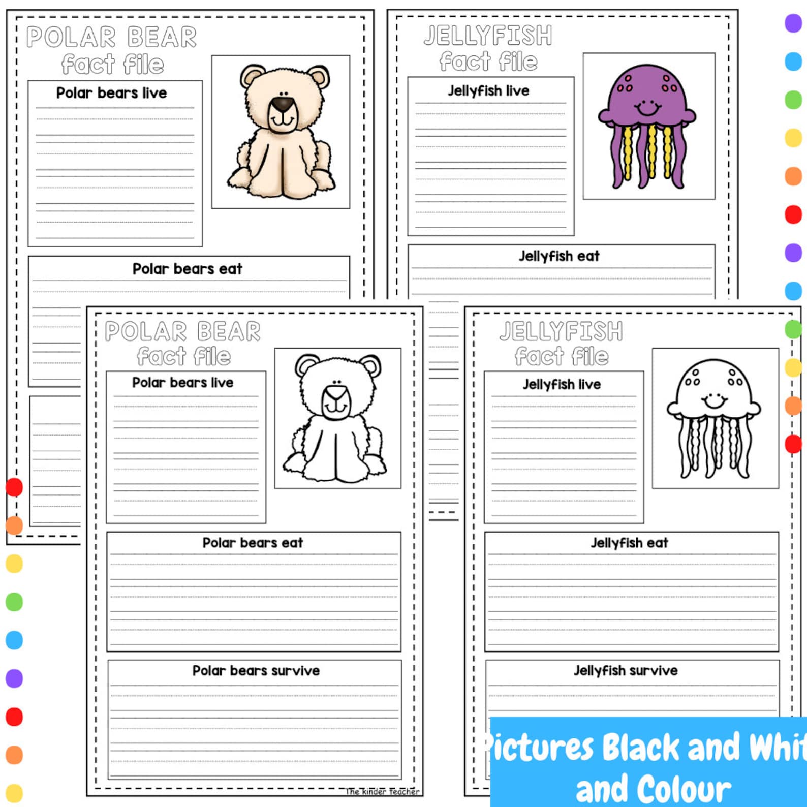 Animals Fact Files - Early Writing - Reception and Nursery - Etsy