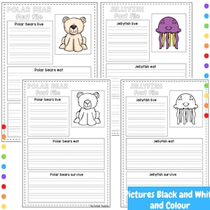 Animals Fact Files - Early Writing - Reception and Nursery - Etsy