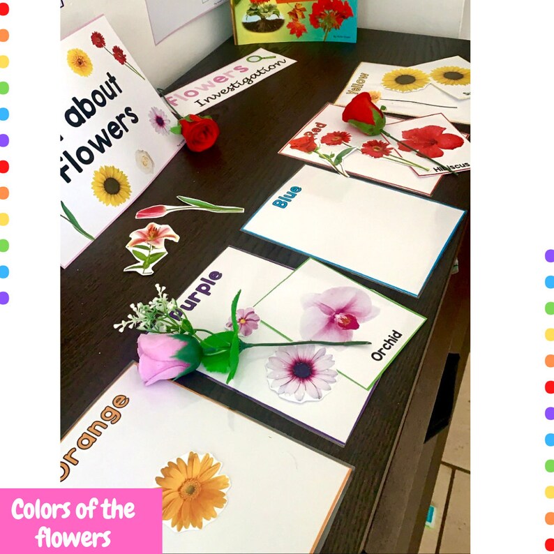 All About Flowers - Investigation Science Center for Preschool - Etsy