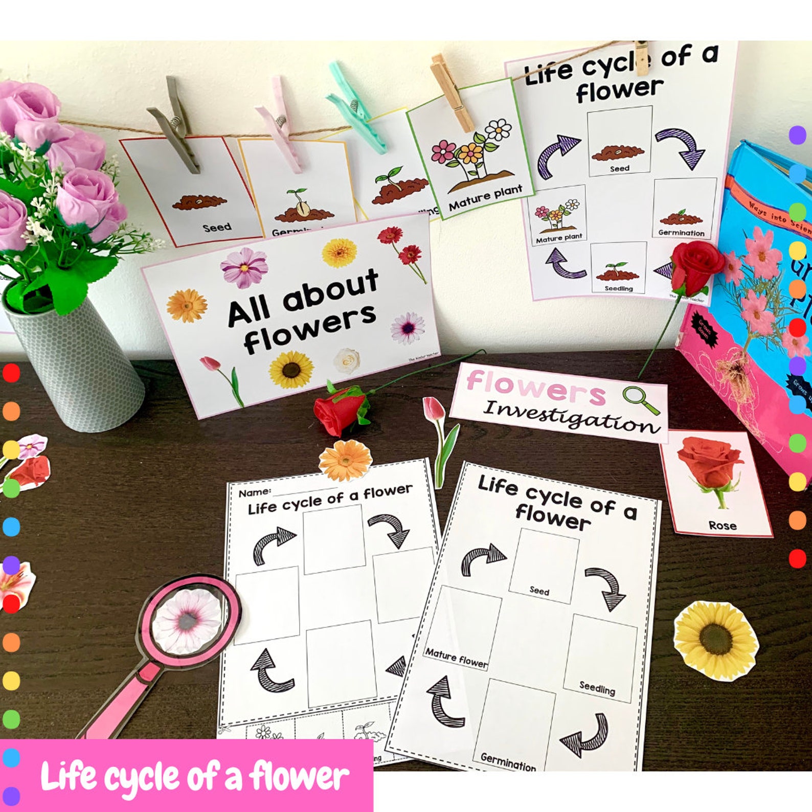 All About Flowers - Investigation Science Center for Preschool - Etsy