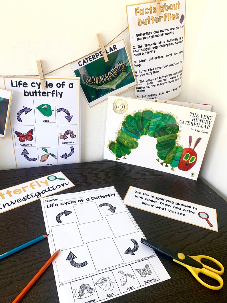 All About Butterflies - Investigation Science Center for Preschool - Etsy