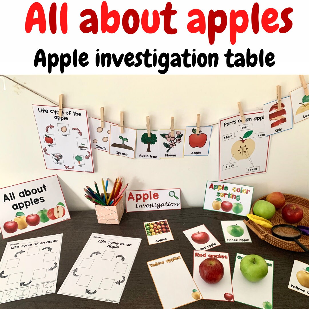 All About Apples Investigation Science Center for Preschool - Etsy