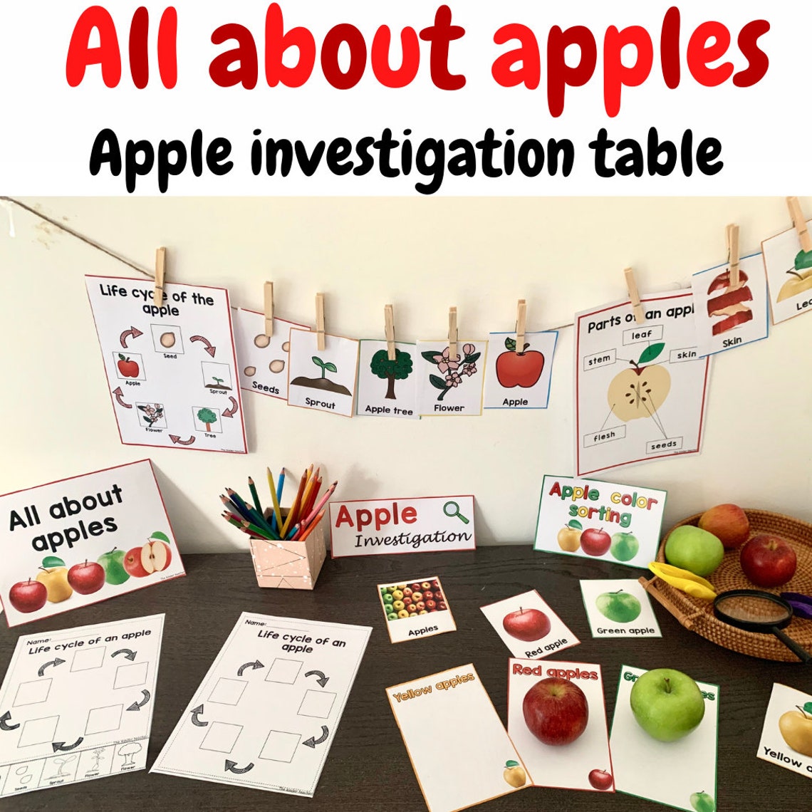 All About Apples - Investigation Science Center for Preschool - Etsy