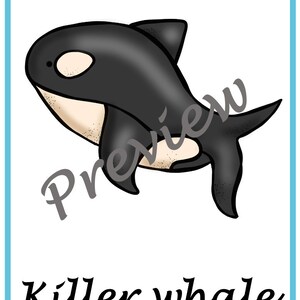 Polar Animals Classroom Posters - Etsy