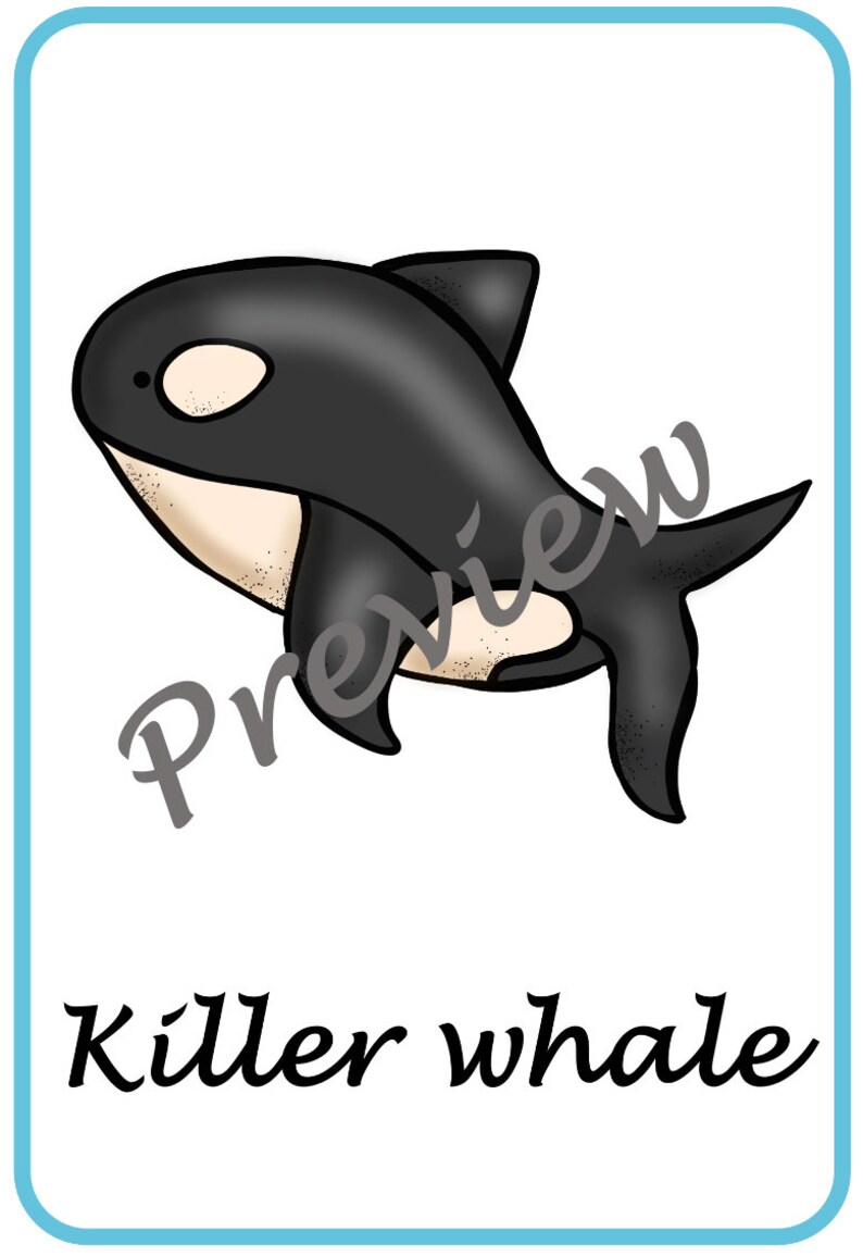 Polar Animals Classroom Posters - Etsy