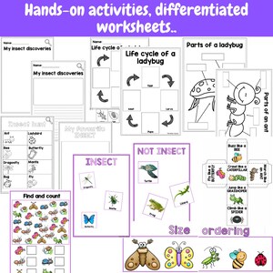 All About Insects and Minibeasts - Investigation Science Center for ...