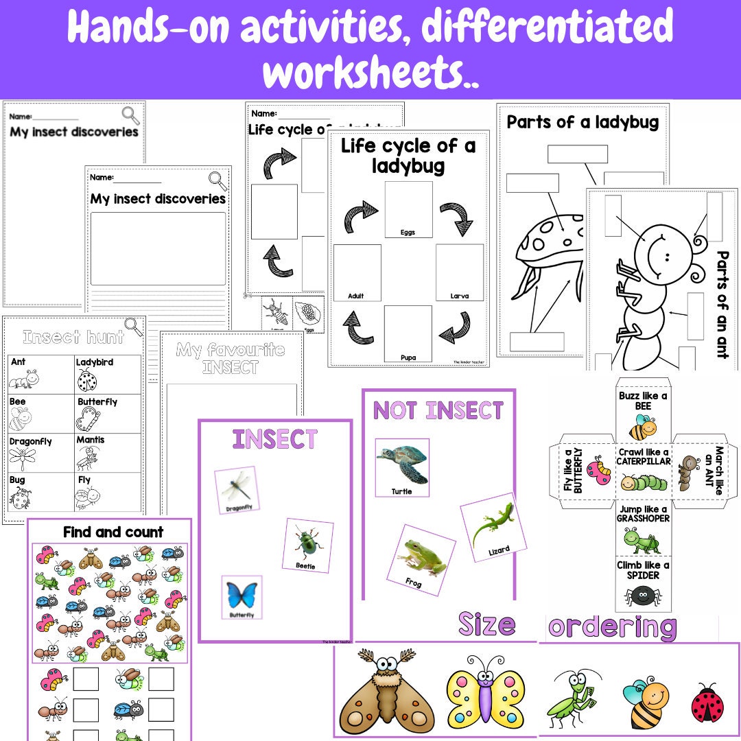 All About Insects and Minibeasts - Investigation Science Center for ...