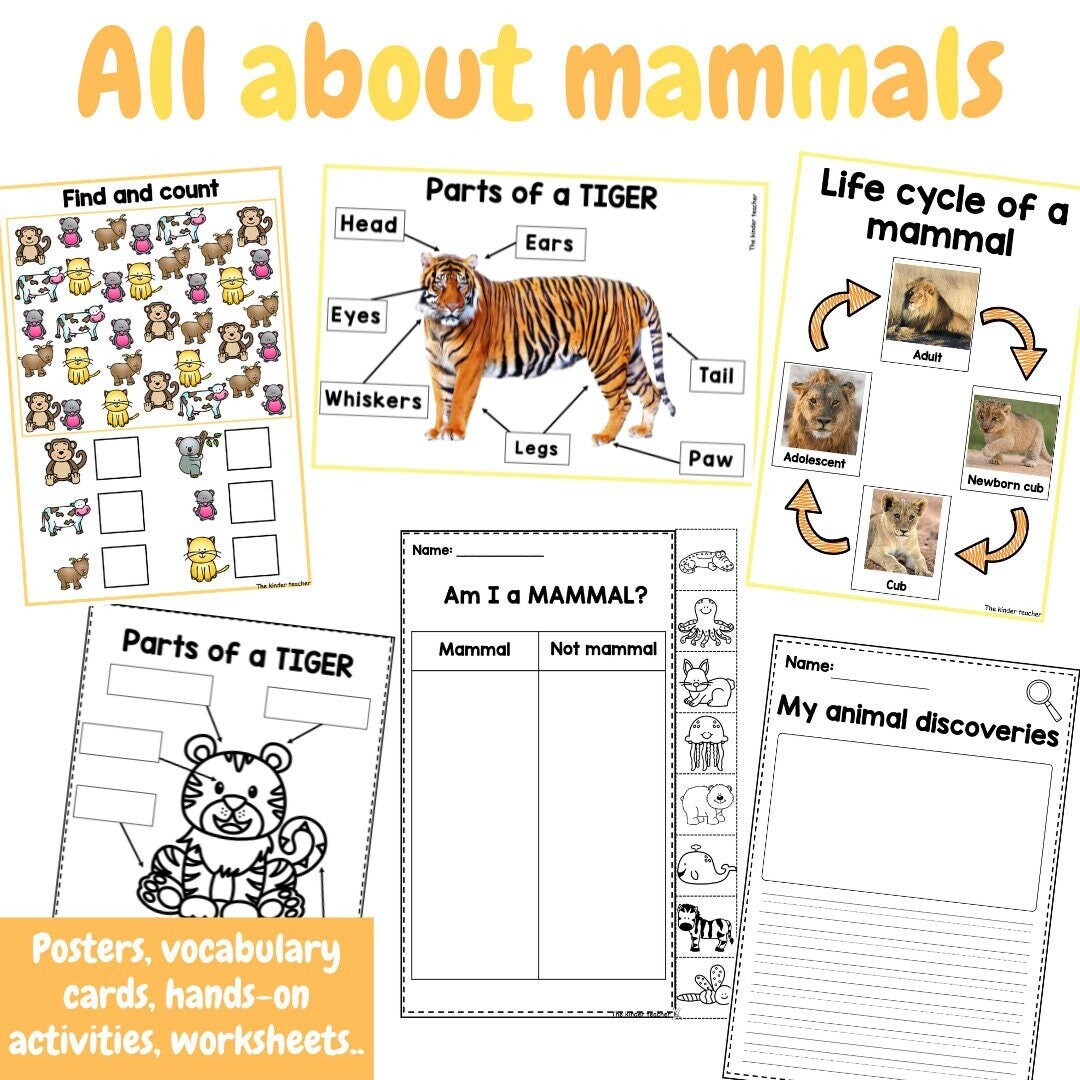 All About Mammals - Investigation Science Center for Preschool - Etsy
