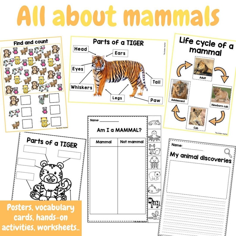 All About Mammals - Investigation Science Center for Preschool - Etsy