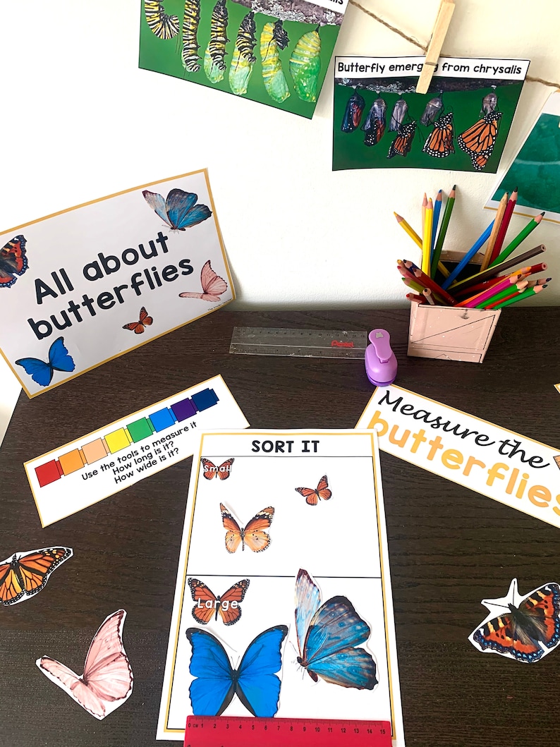 All About Butterflies - Investigation Science Center for Preschool - Etsy