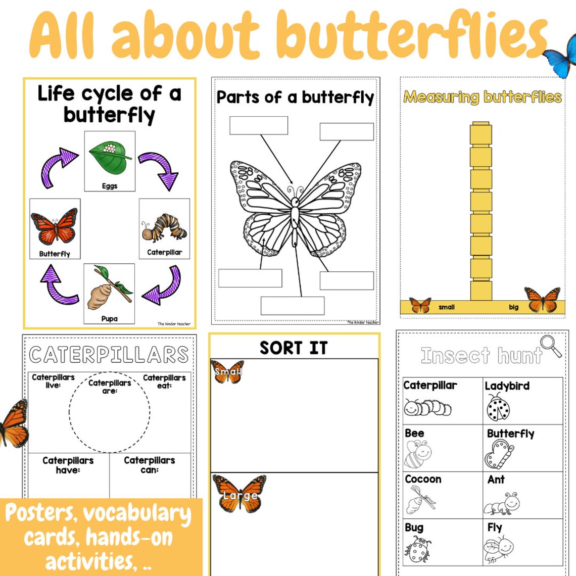 All About Butterflies Investigation Science Center for Preschool - Etsy