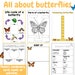 All About Butterflies Investigation Science Center for Preschool - Etsy