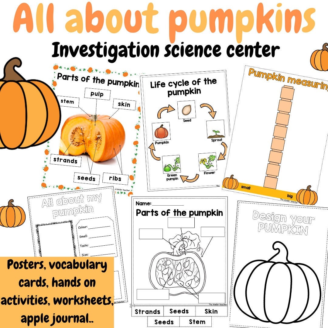 All About Pumpkins - Investigation Science Center for Preschool - Etsy