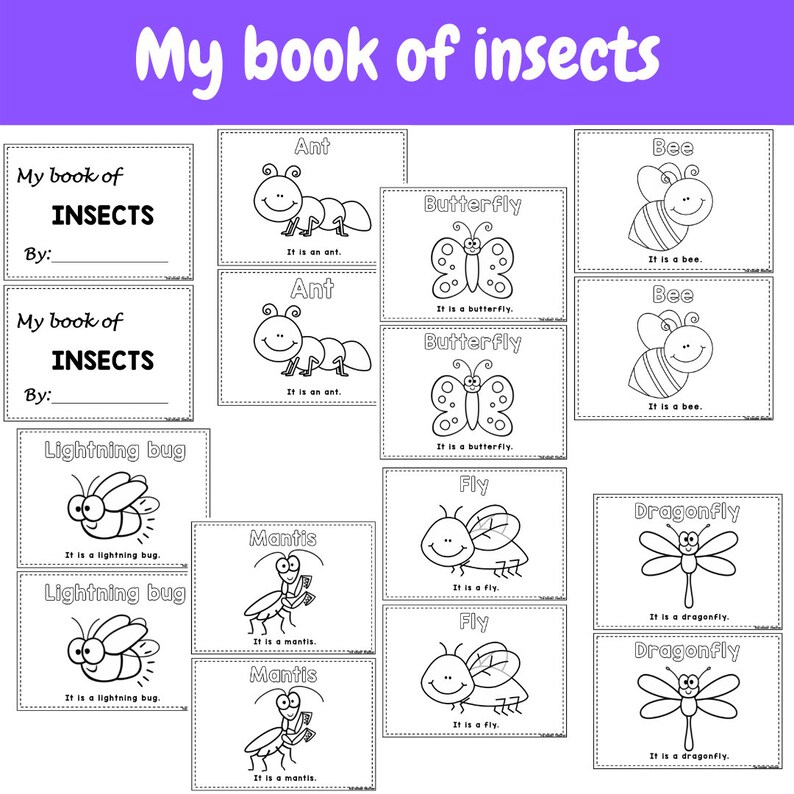 All About Insects and Minibeasts - Investigation Science Center for ...