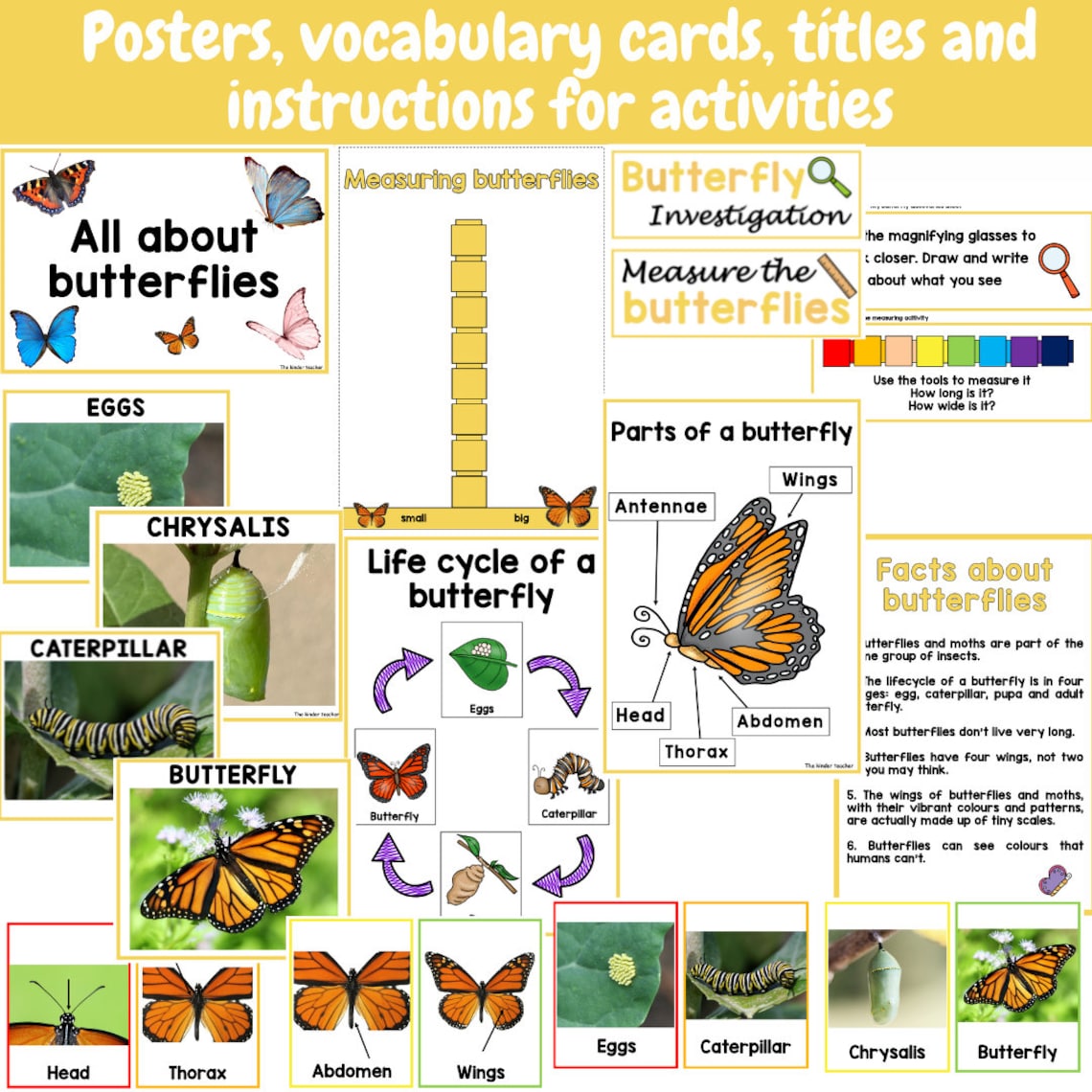 All About Butterflies Investigation Science Center for Preschool - Etsy