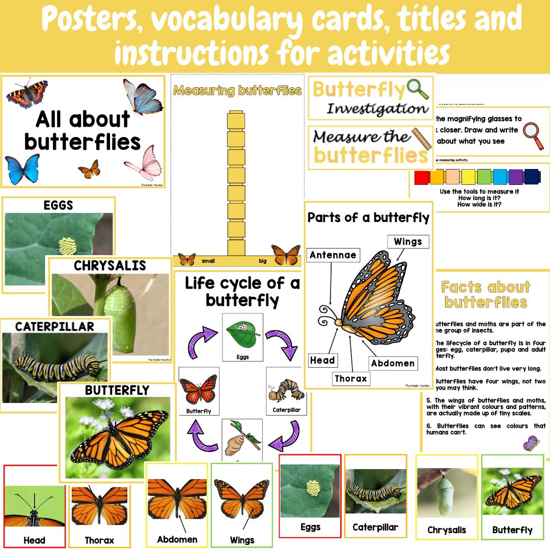 All About Butterflies Investigation Science Center for Preschool - Etsy