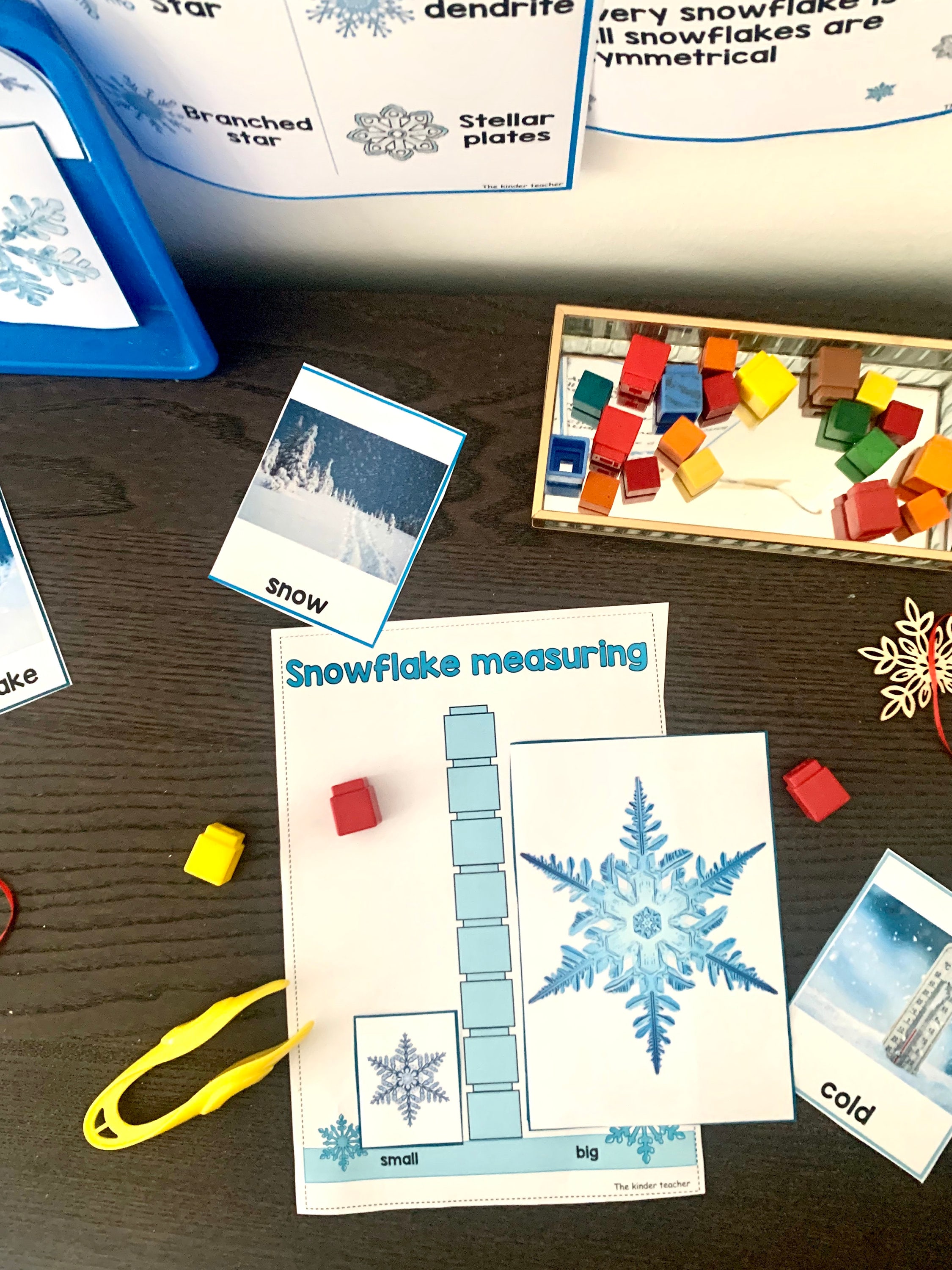 All About Ice and Snow- Investigation Science Center for Preschool - Etsy