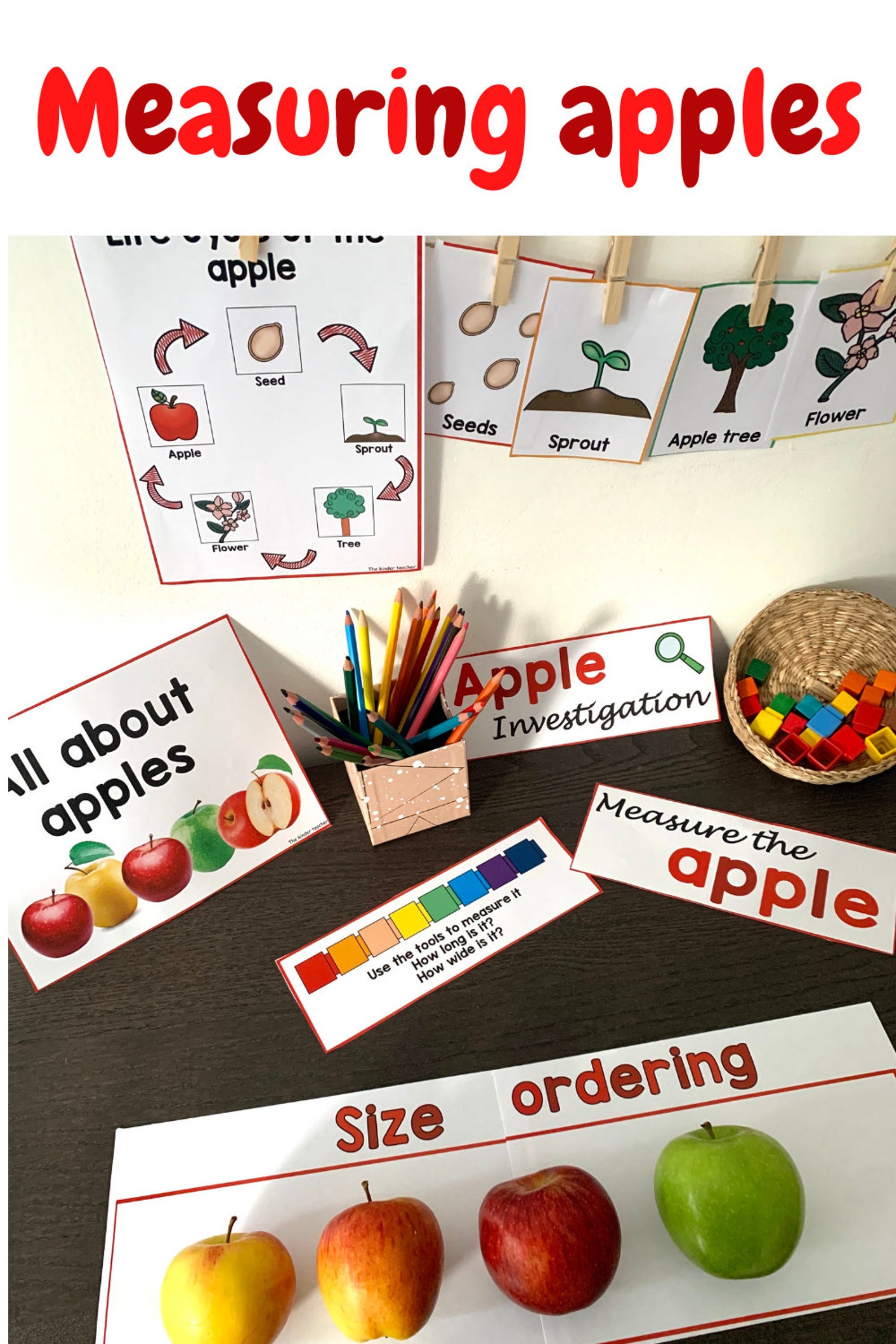 All About Apples - Investigation Science Center for Preschool - Etsy