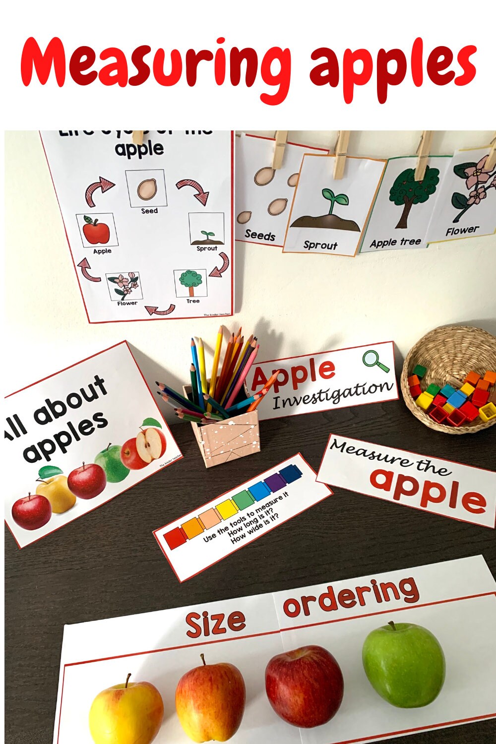 All About Apples - Investigation Science Center for Preschool - Etsy