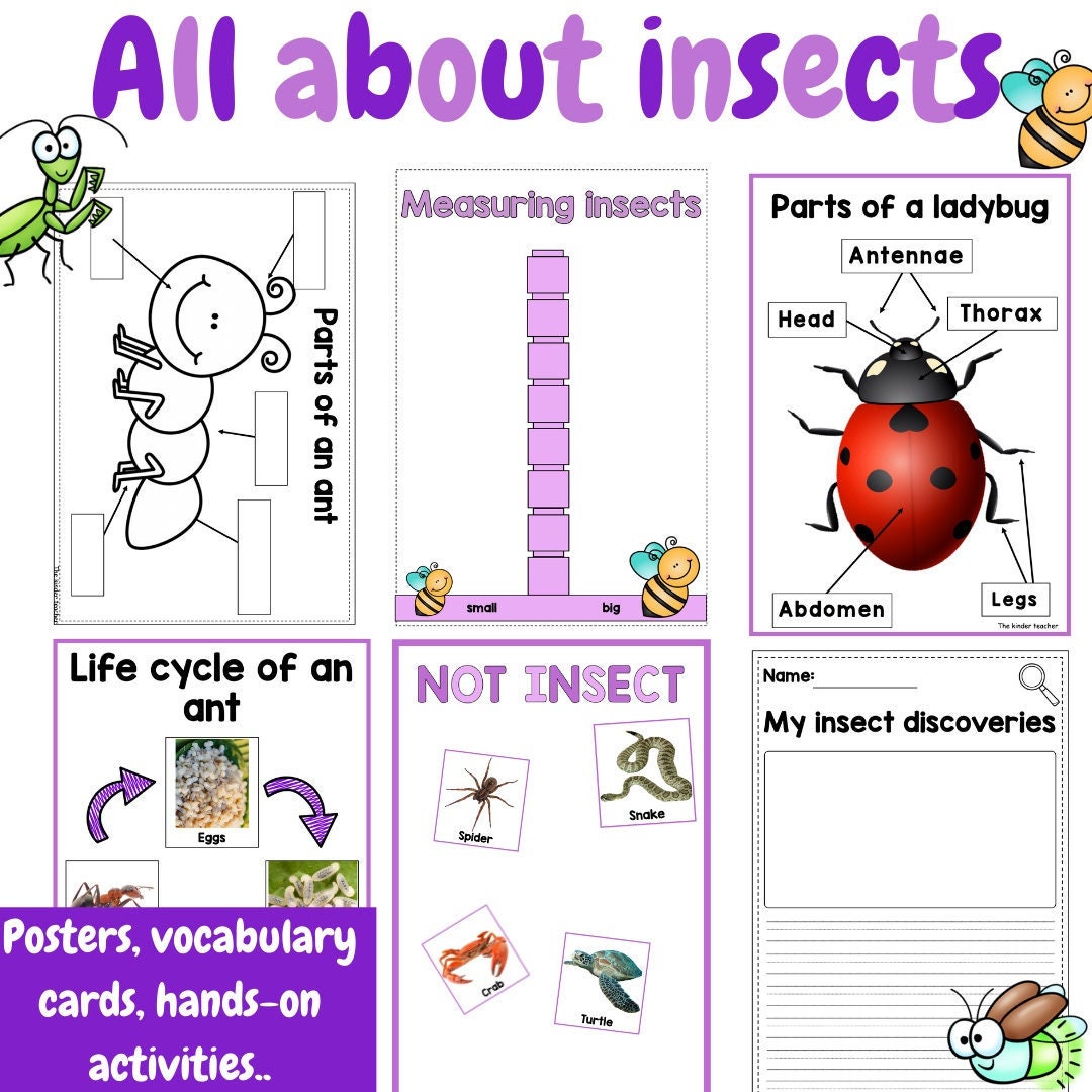 All About Insects and Minibeasts - Investigation Science Center for ...