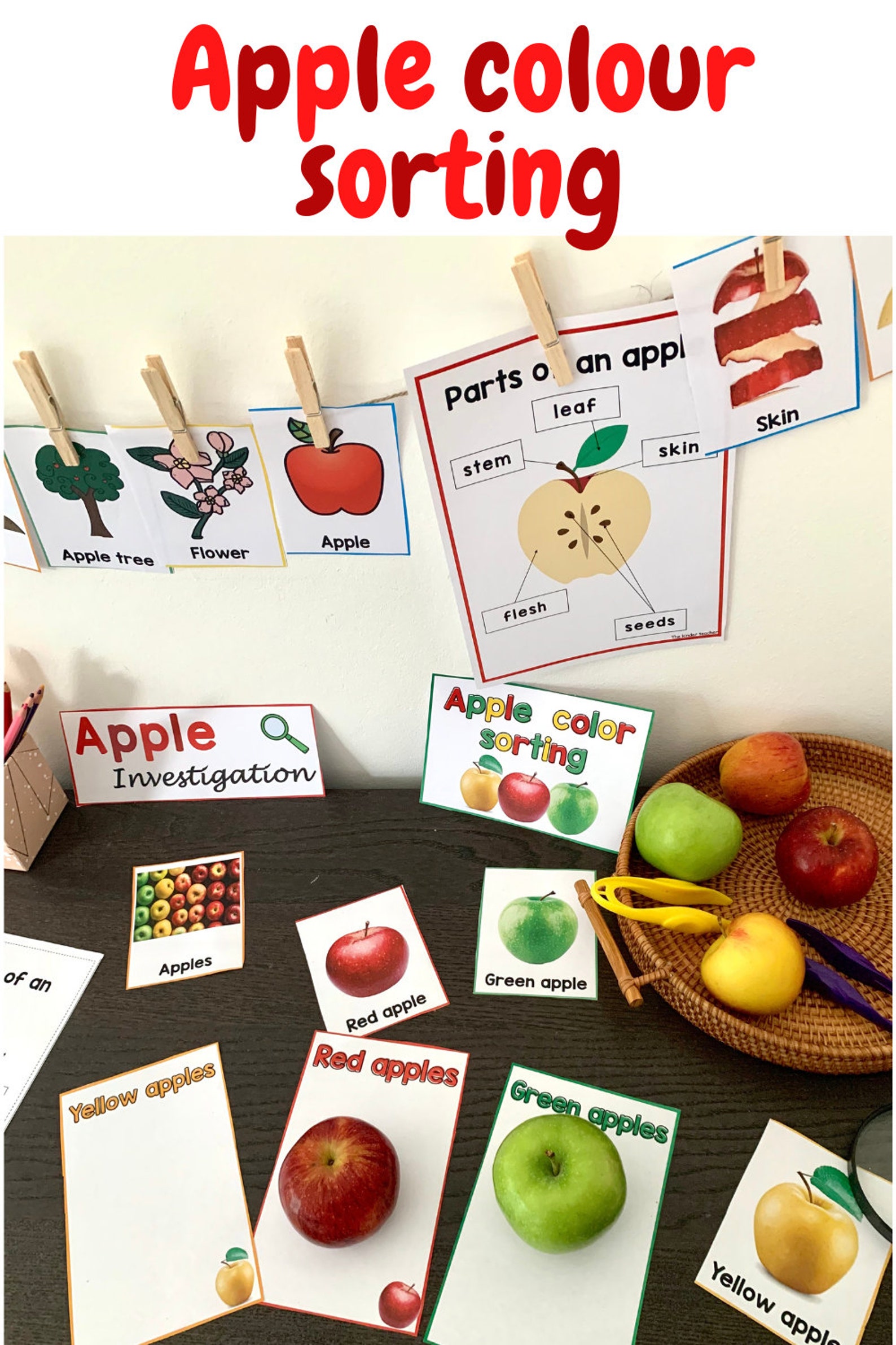 All About Apples - Investigation Science Center for Preschool - Etsy