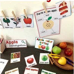 All About Apples - Investigation Science Center for Preschool - Etsy