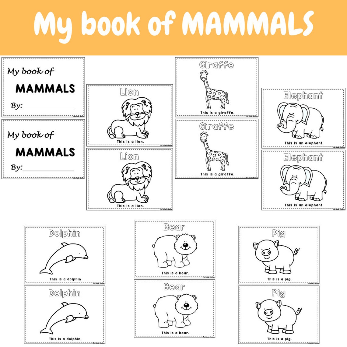 All About Mammals - Investigation Science Center for Preschool - Etsy