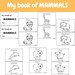 All About Mammals - Investigation Science Center for Preschool - Etsy