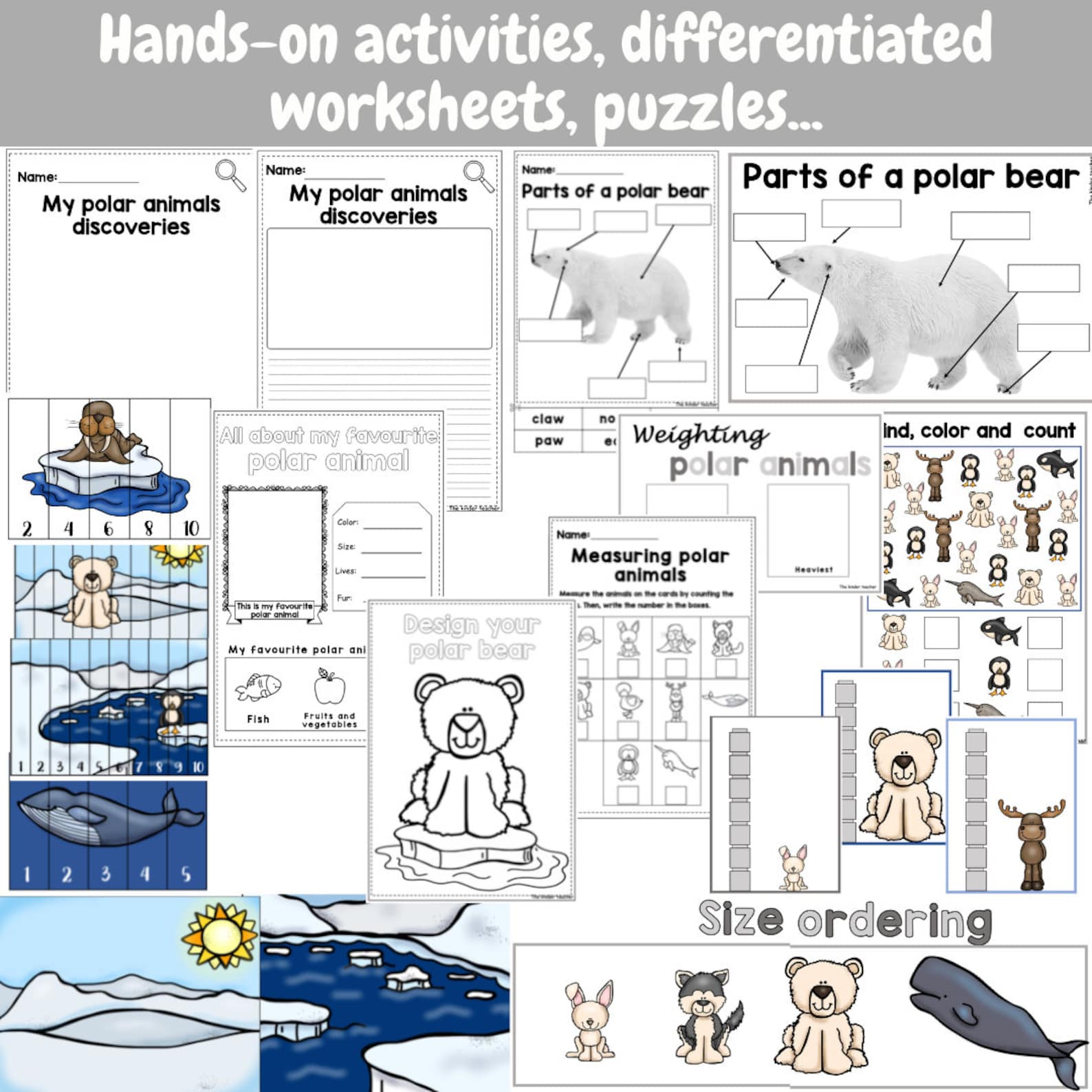 All About Polar Animals- Investigation Science Center for Preschool - Etsy