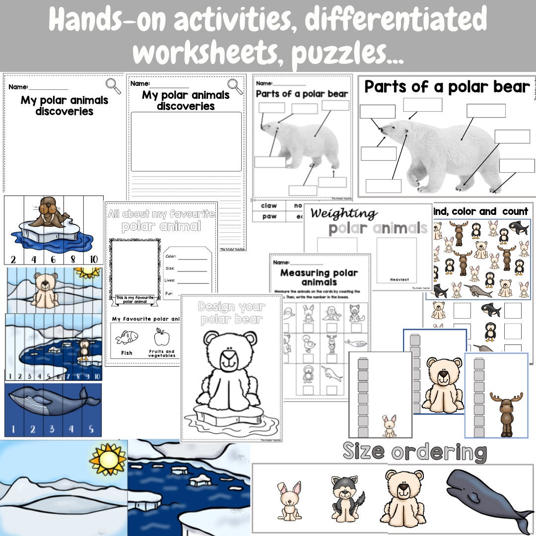 All About Polar Animals- Investigation Science Center for Preschool - Etsy