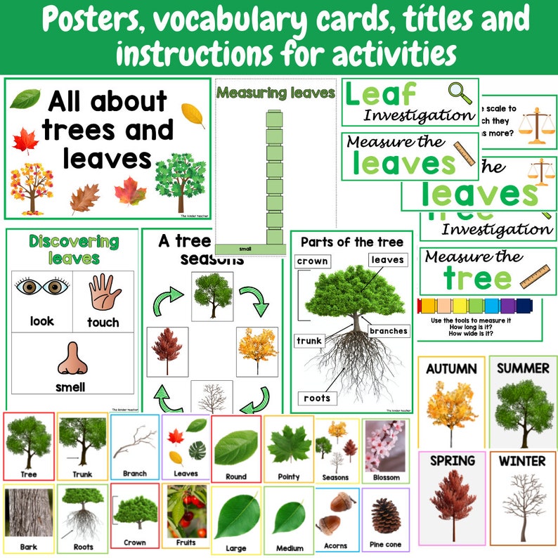 All About Trees and Leaves - Investigation Science Center for Preschool ...