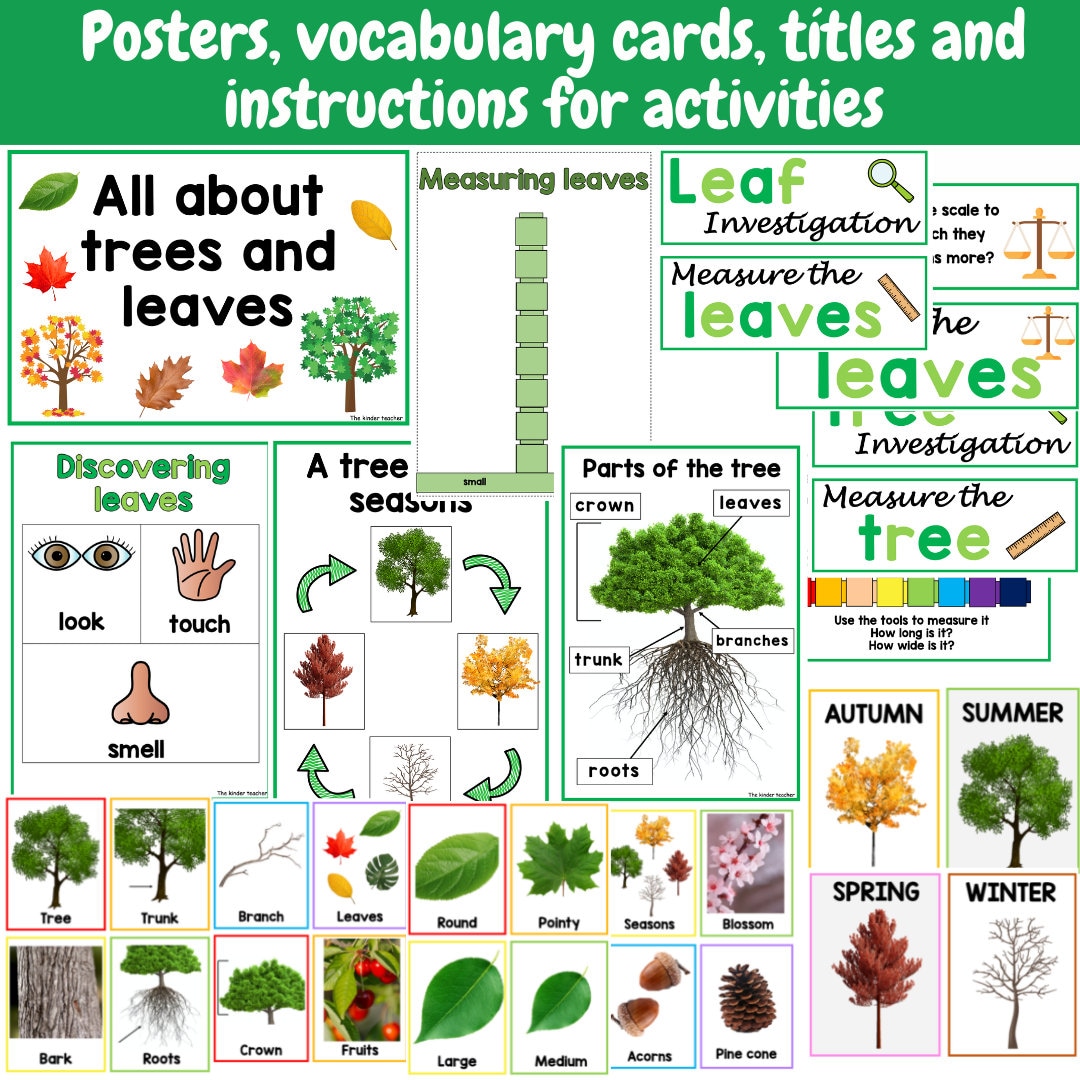 All About Trees and Leaves - Investigation Science Center for Preschool ...