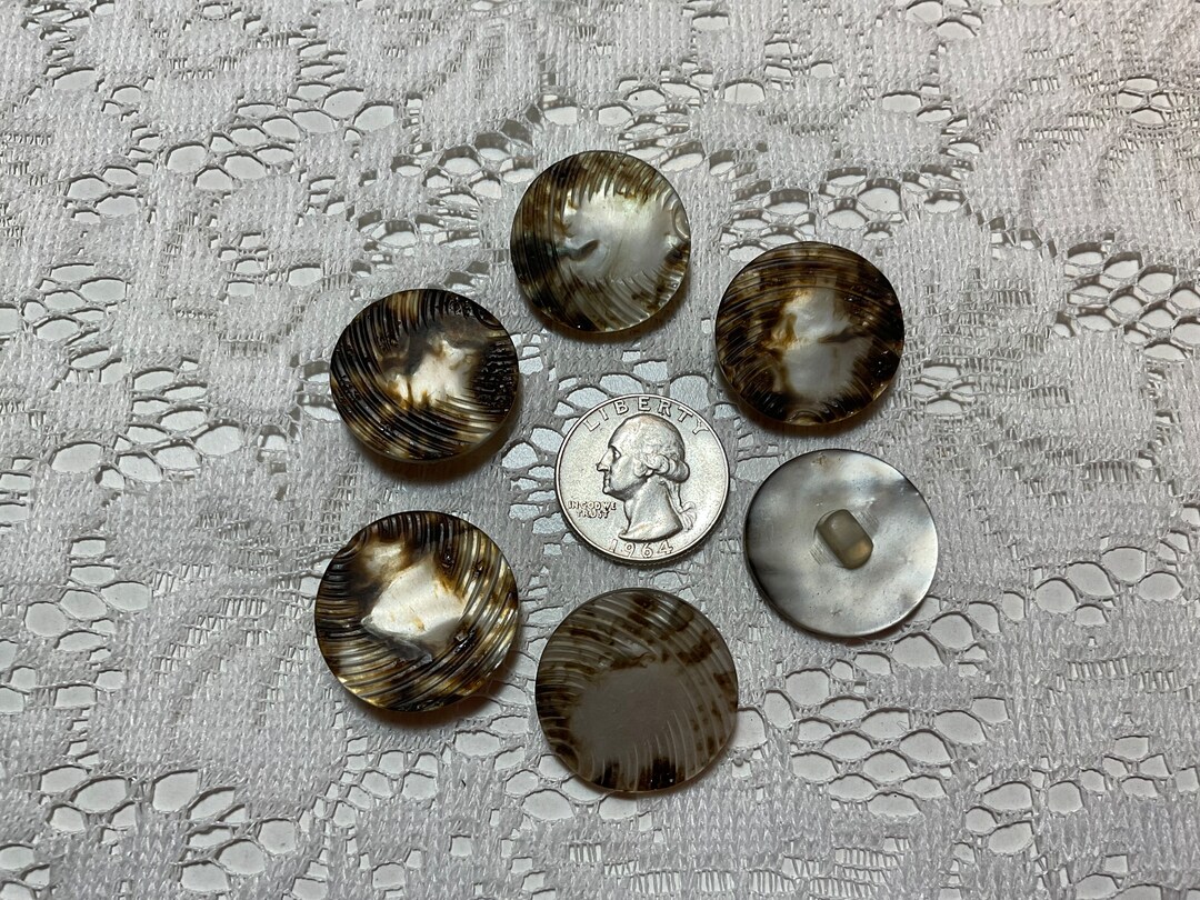 1 Dozen Vintage Pearl, Faux Shell Shank Buttons 40 Ligne, 32 Ligne - Etsy