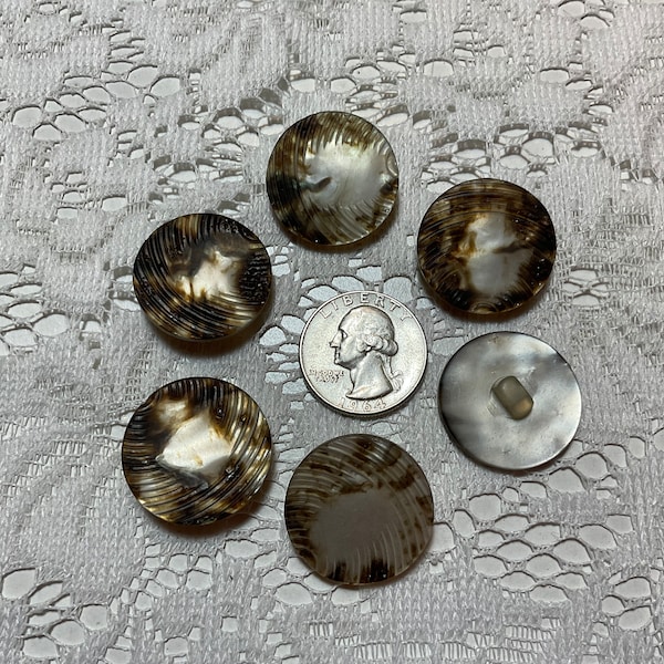 Faux Shell Button - Etsy