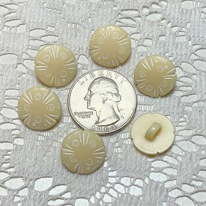 1 Dozen Vintage Plastic Sand Dollar Shank Buttons 48,40,28,24 Ligne - Etsy