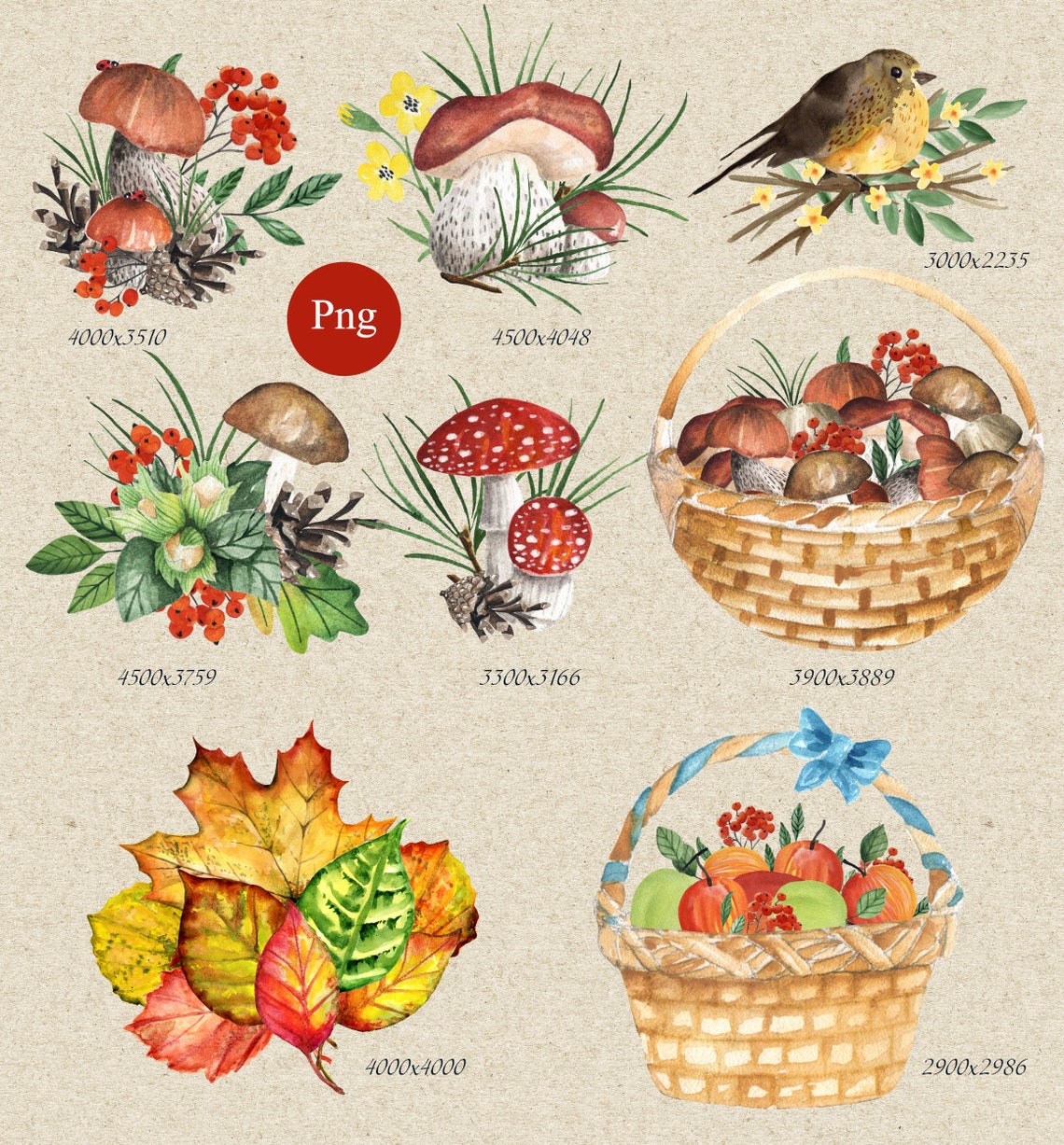 Watercolor Autumn Forest Clipart Autumn Clipart Fall | Etsy