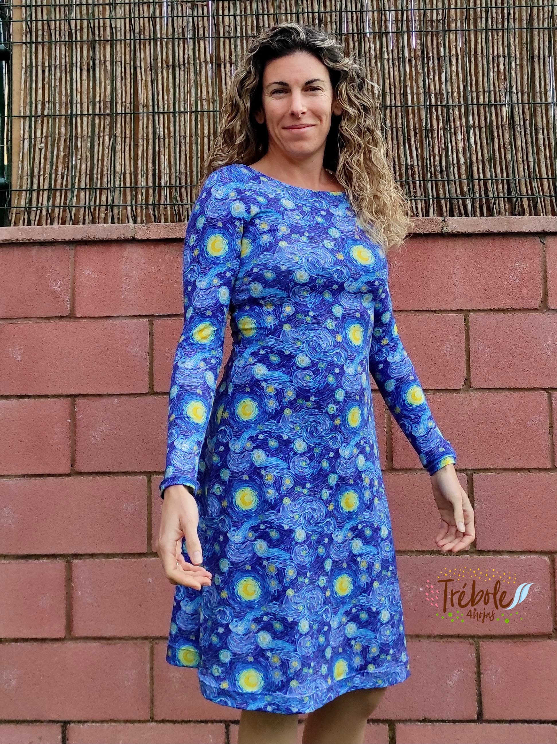 Woman Dress the Starry Night Vincent Van Gogh Dress Women Starry Night ...