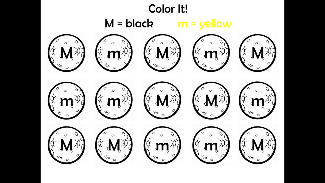 Letters M-S Toddler Curriculum Bundle- Tot School Curriculum - Toddler ...