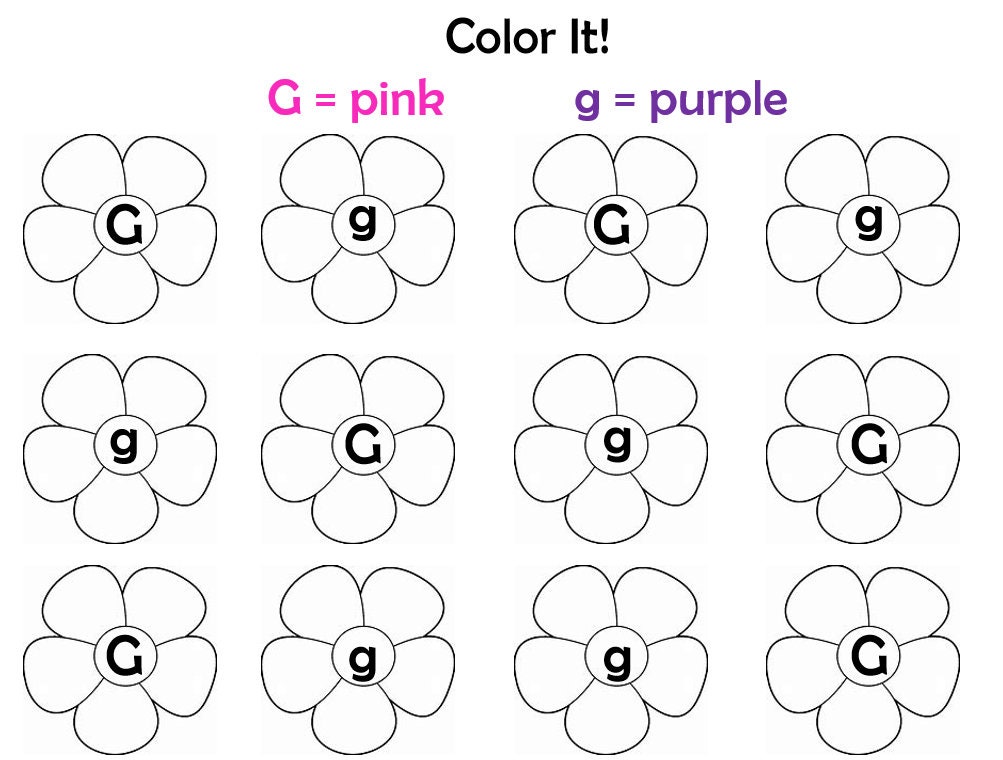 Letters G-L Toddler Curriculum Bundle Tot School Curriculum - Toddler ...