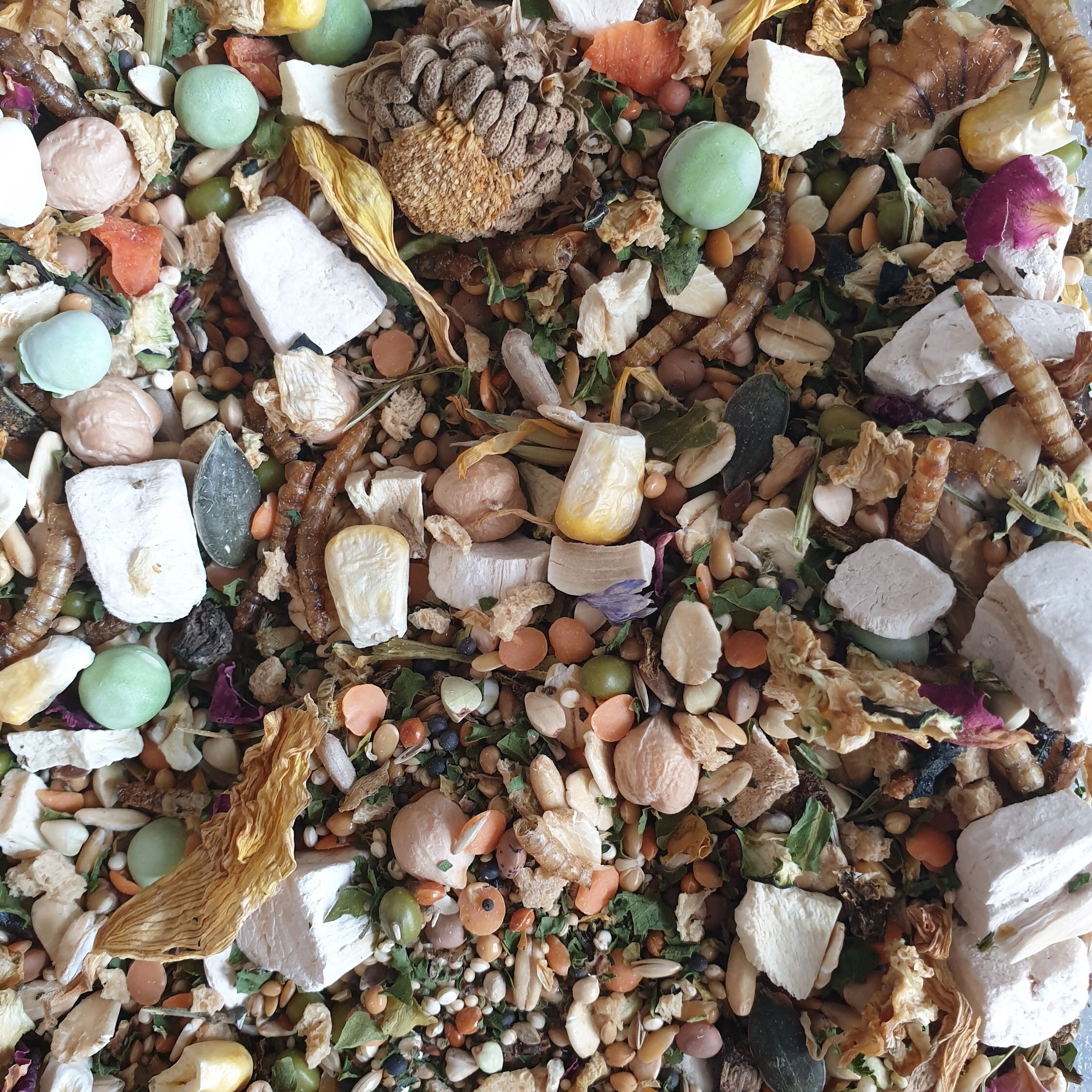 Premium Dwarf Hamster Food | Etsy UK