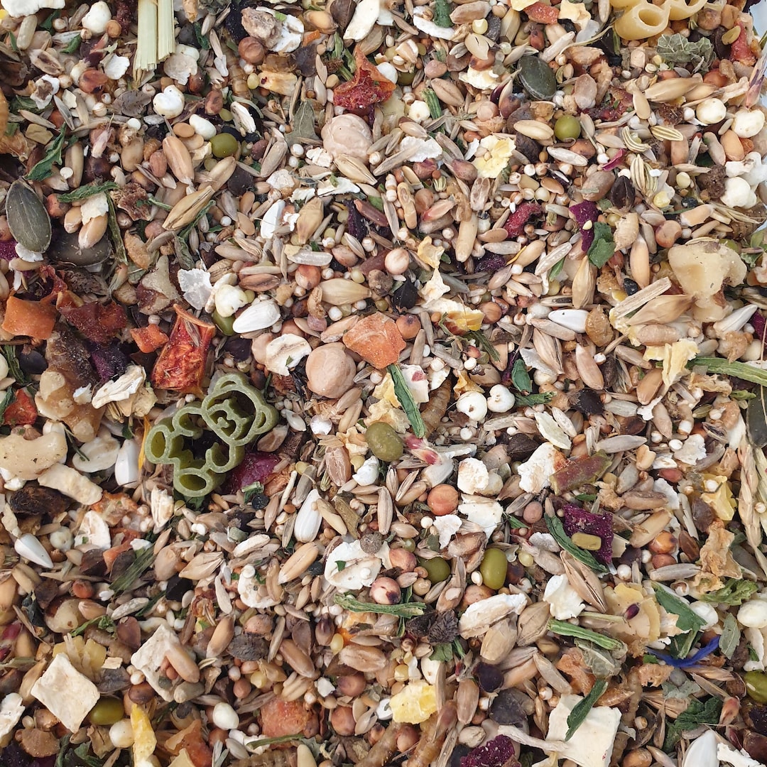 Premium Mouse Food - Etsy