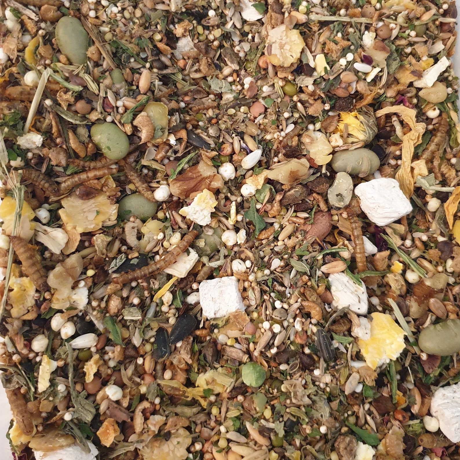 Premium Dwarf Hamster Food - Etsy UK