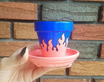 Fire Flame Plants - Etsy