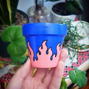 Small Flame Planter Pot Gardening Garden Plants Decoration Fire Pink ...