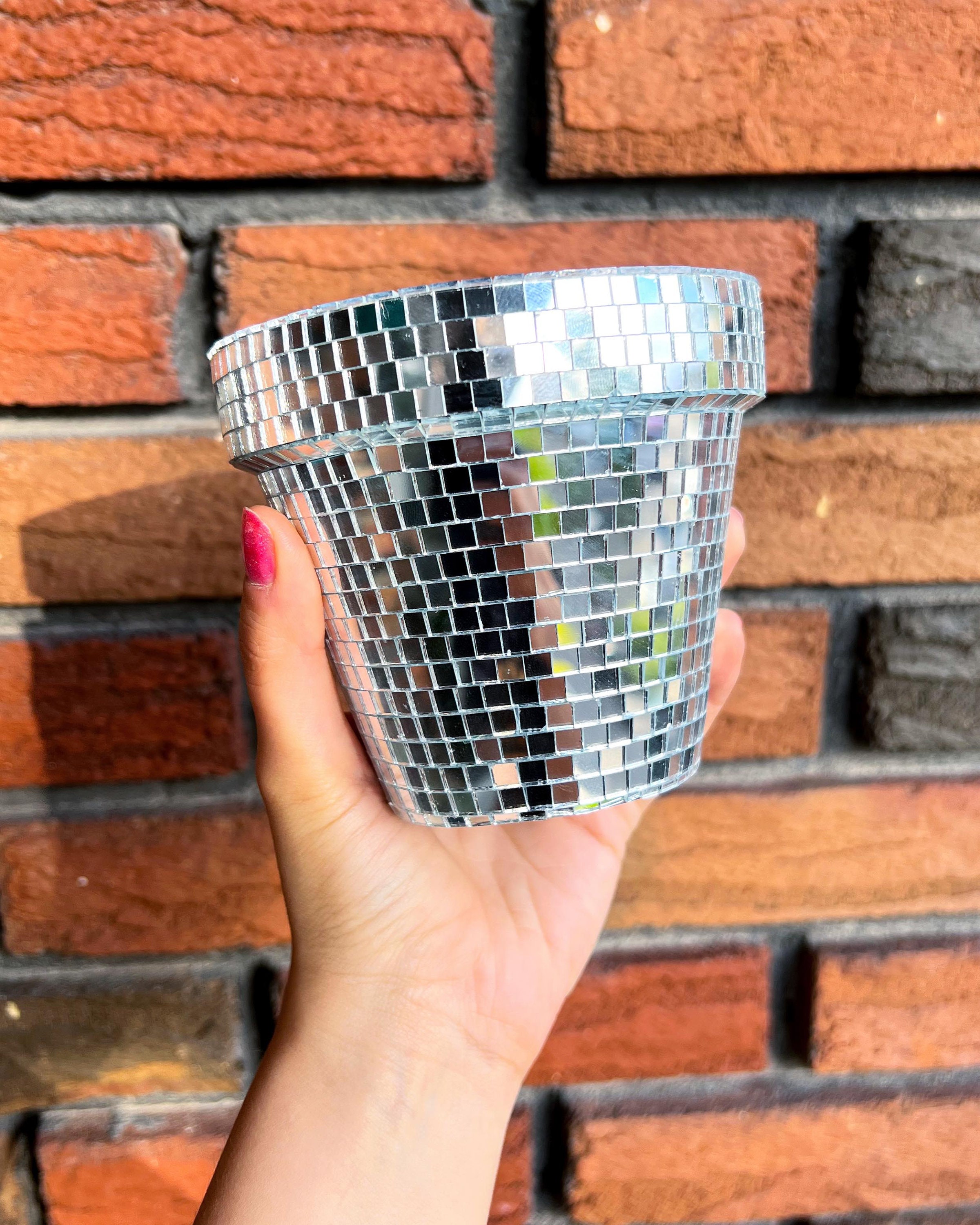 Medium Pot Disco Ball Mirror Handmade Plant Garden Botanical Gardening ...