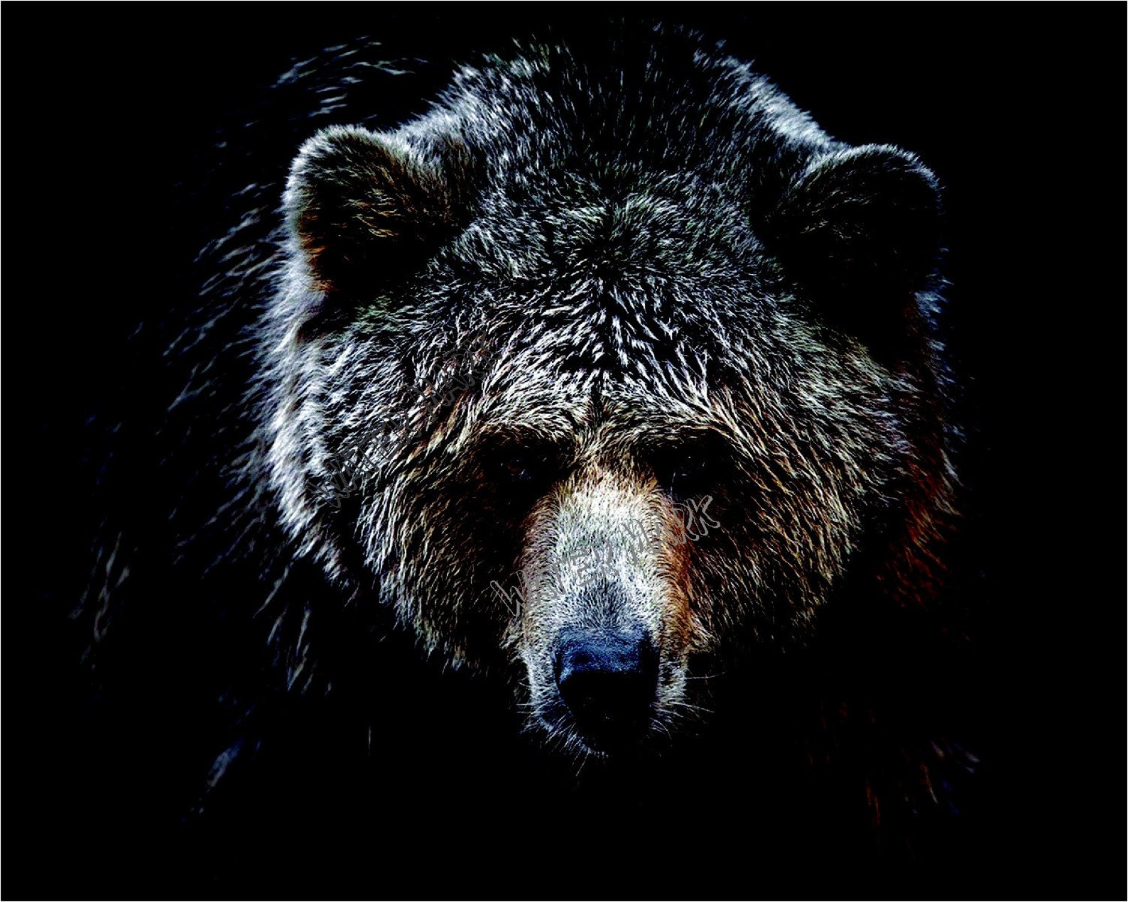 Grizzly Bear Print, Wildlife, Grizzly Bear Poster, Canvas Print ...