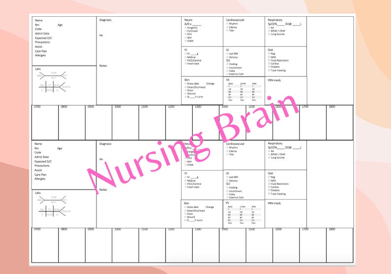 2 Patient Nurse Brain Sheet - Etsy