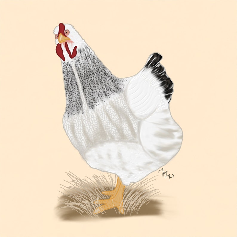 Chicken Printable Wall Decor, Animal Farm Print, Original Chicken Wall ...