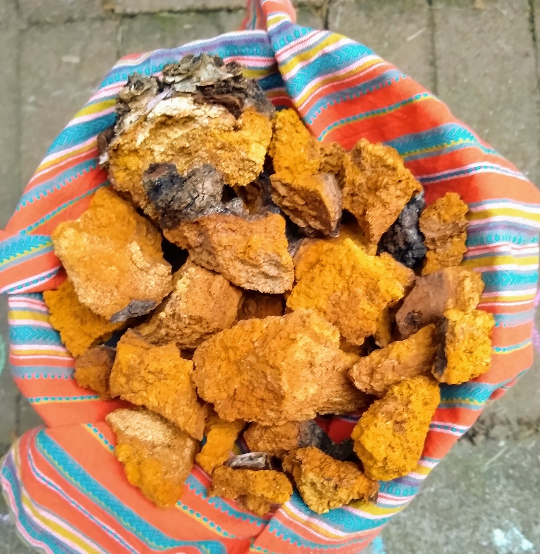 Chaga in Small Chunks, 12 Oz. Eco-friendly Bag, Chaga Tea, Alaskan ...